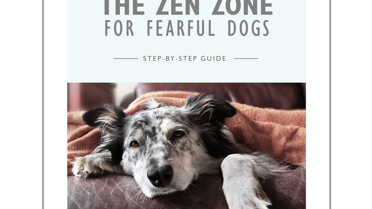 The Zen Zone for fearful dogs