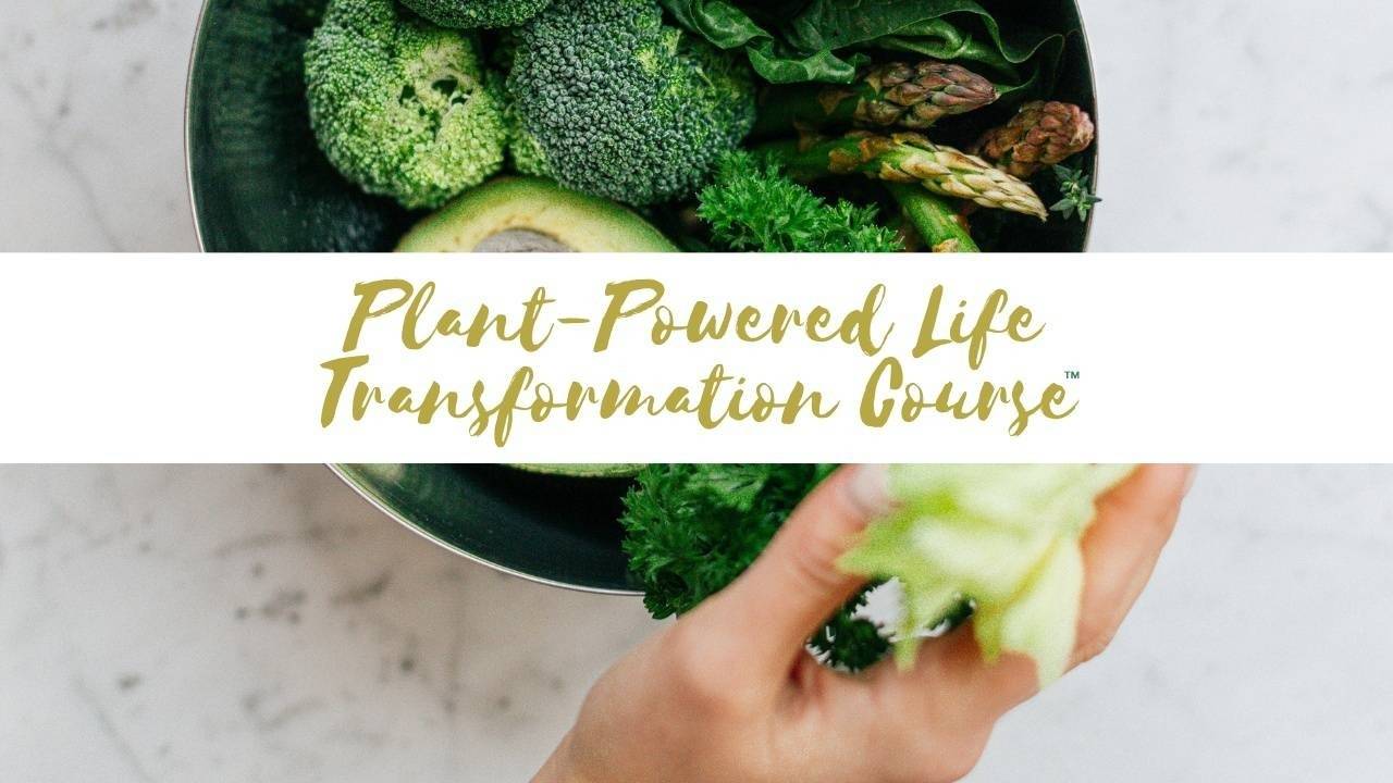 Plant-Powered Life Transformation Course Policy