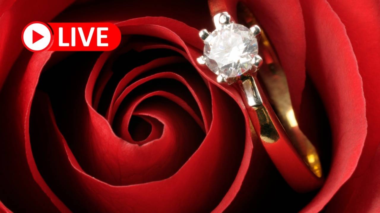 Engage the reader with powerful dramatic questions