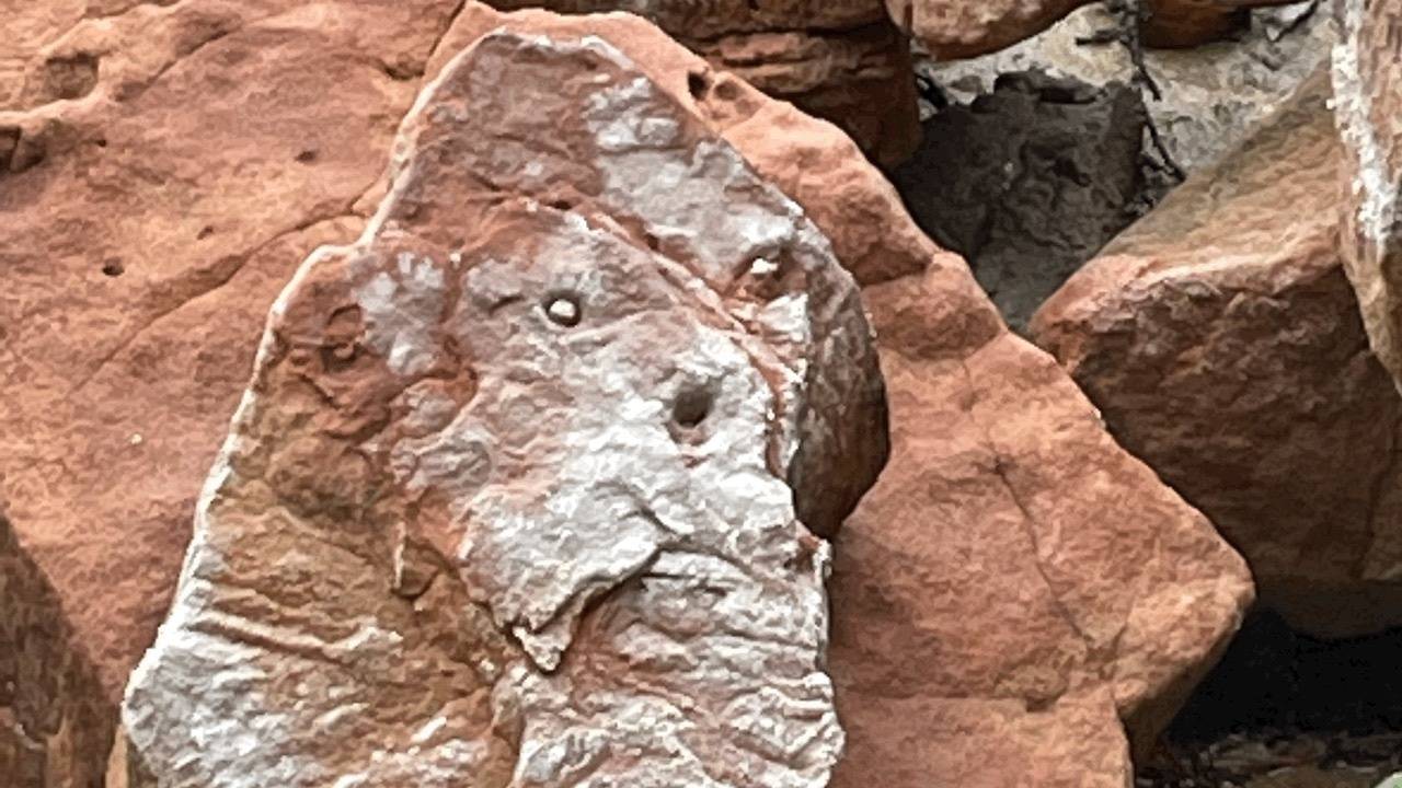 Even the rocks cry our in silence