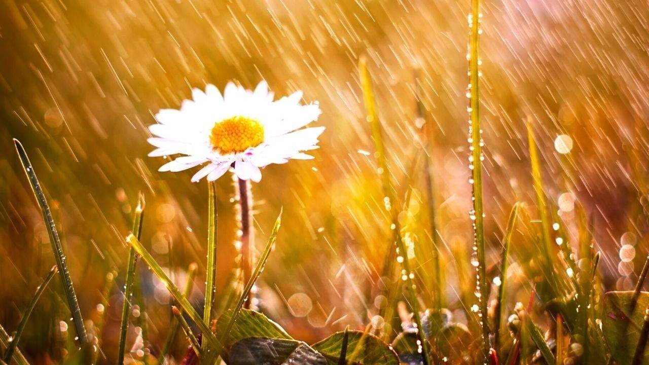 Rain Sounds For Sleep, Rest Easy With Nature