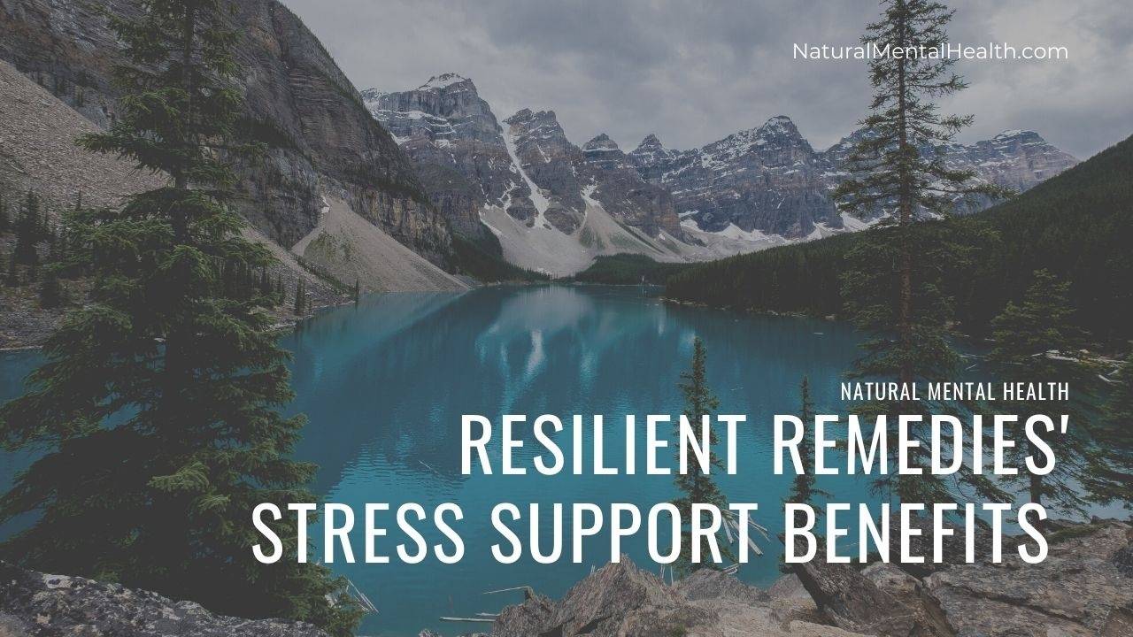 Stress Support Supplement | Resilient Remedies