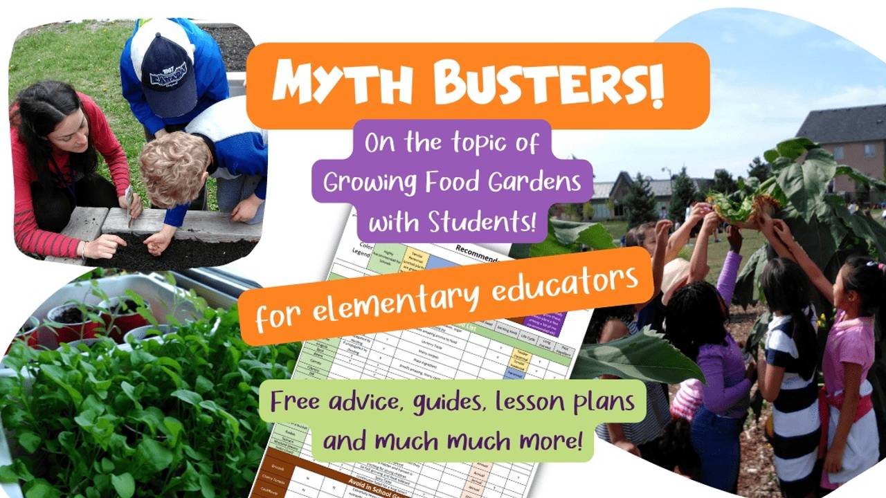 Elementary Teachers Growing Gardens Myth Busters