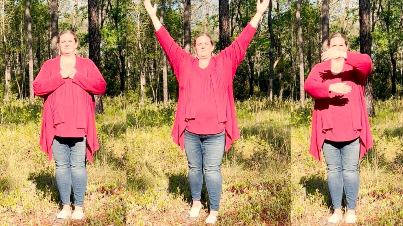 The Eurythmy Letter Gestures