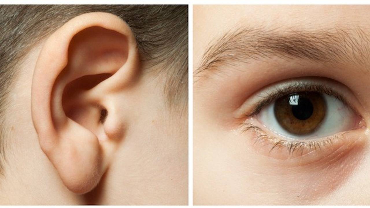 How Well do You Listen?