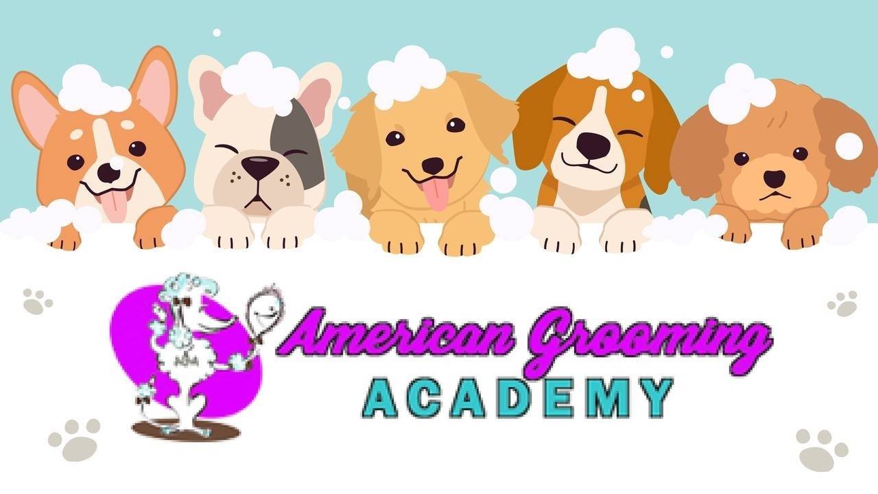 American Grooming Academy