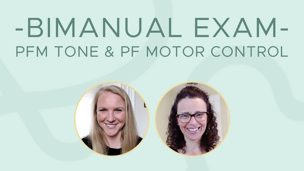 Bimanual Exams and Pelvic Floor Assessments