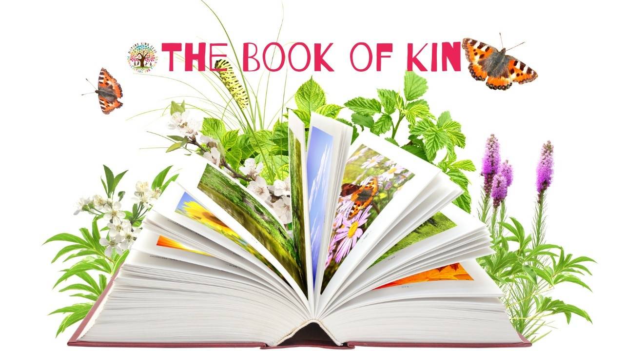 Book of Kin