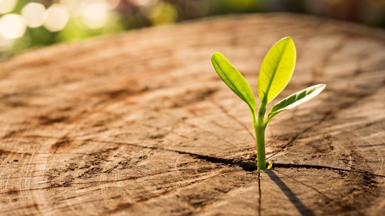 3 Steps to Reset Yourself