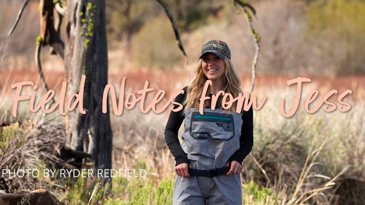 Field Notes From Jess
