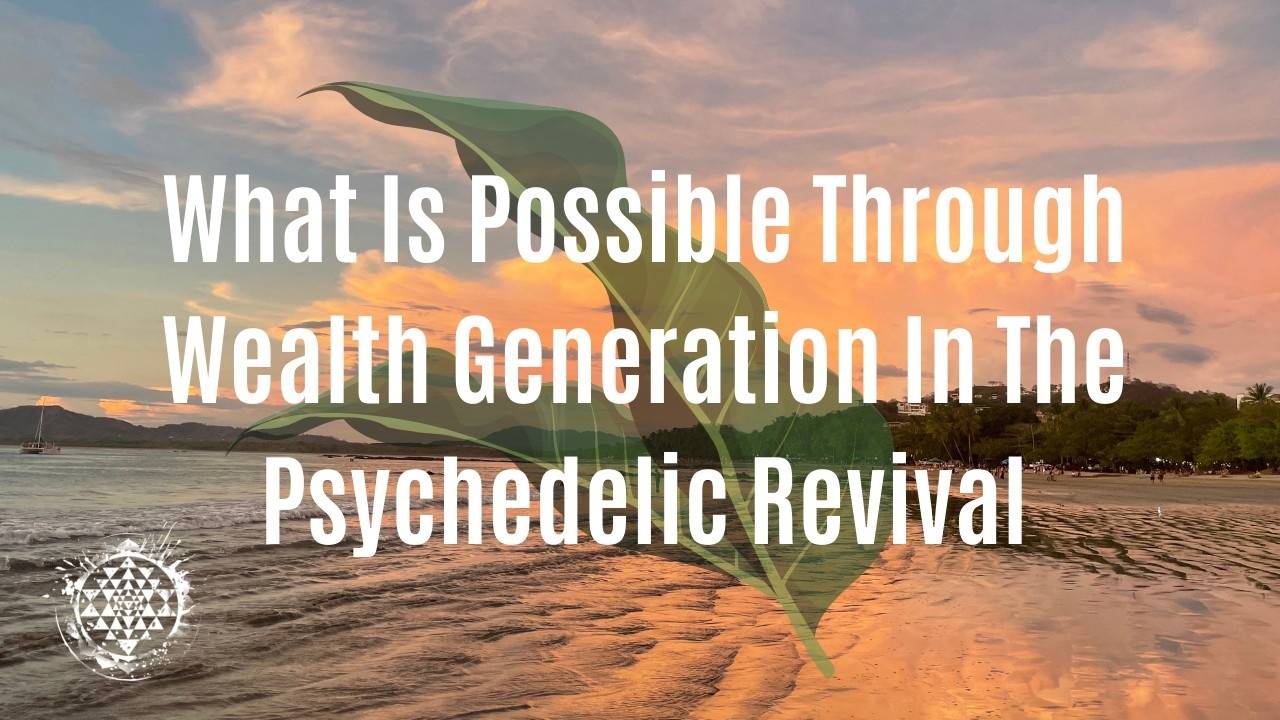 What Is Possible through Wealth Generation in the Psychedelic Revival