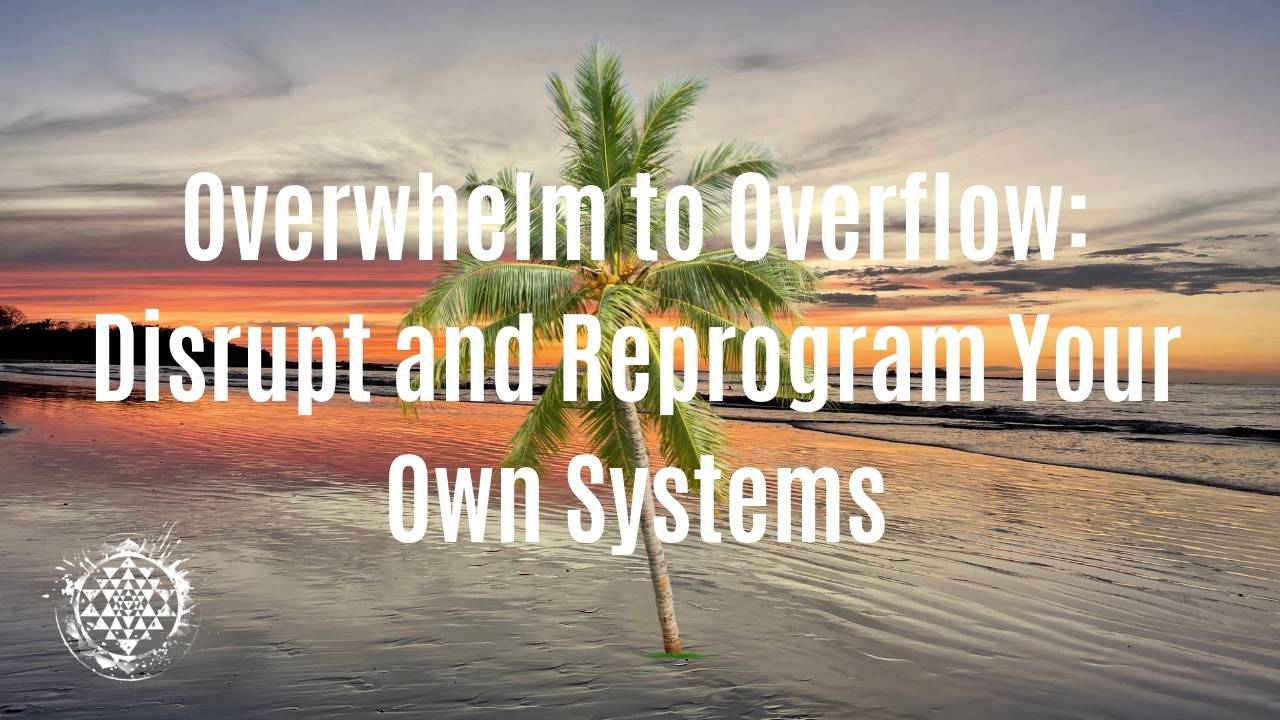 Overwhelm to Overflow: Disrupt and Reprogram Your Own Systems