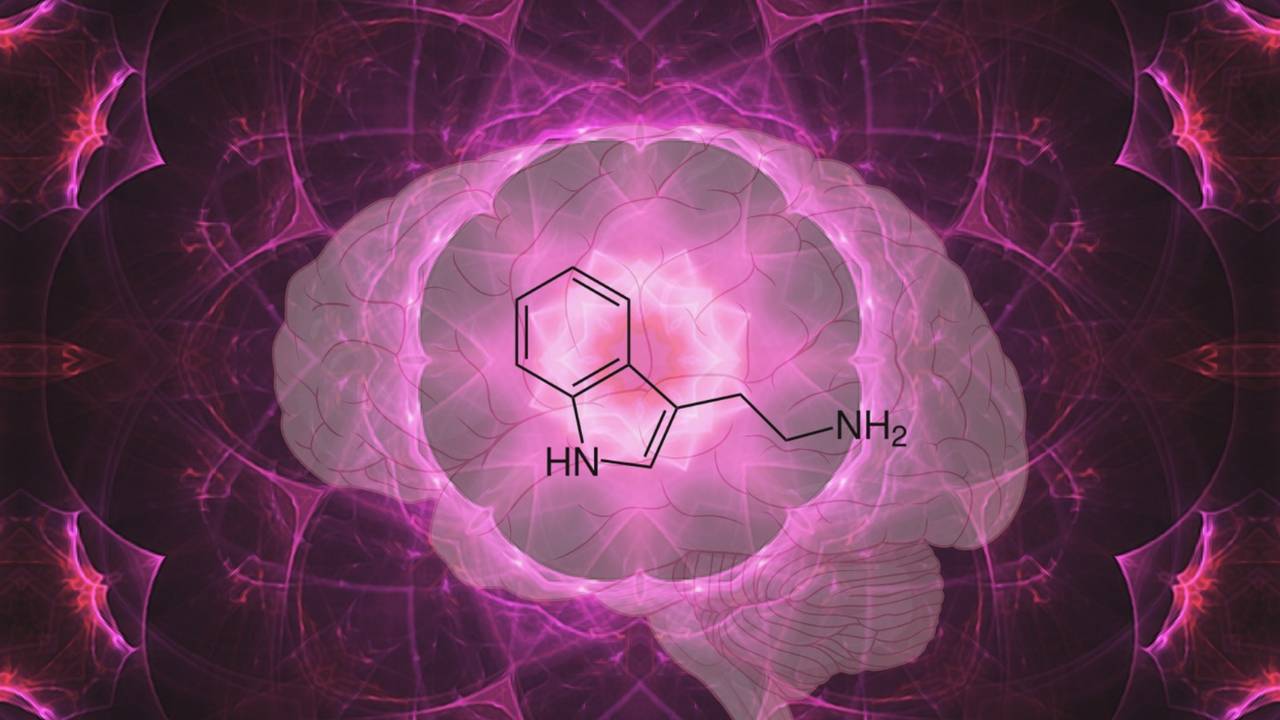 Introduction to Psychedelic Tryptamines