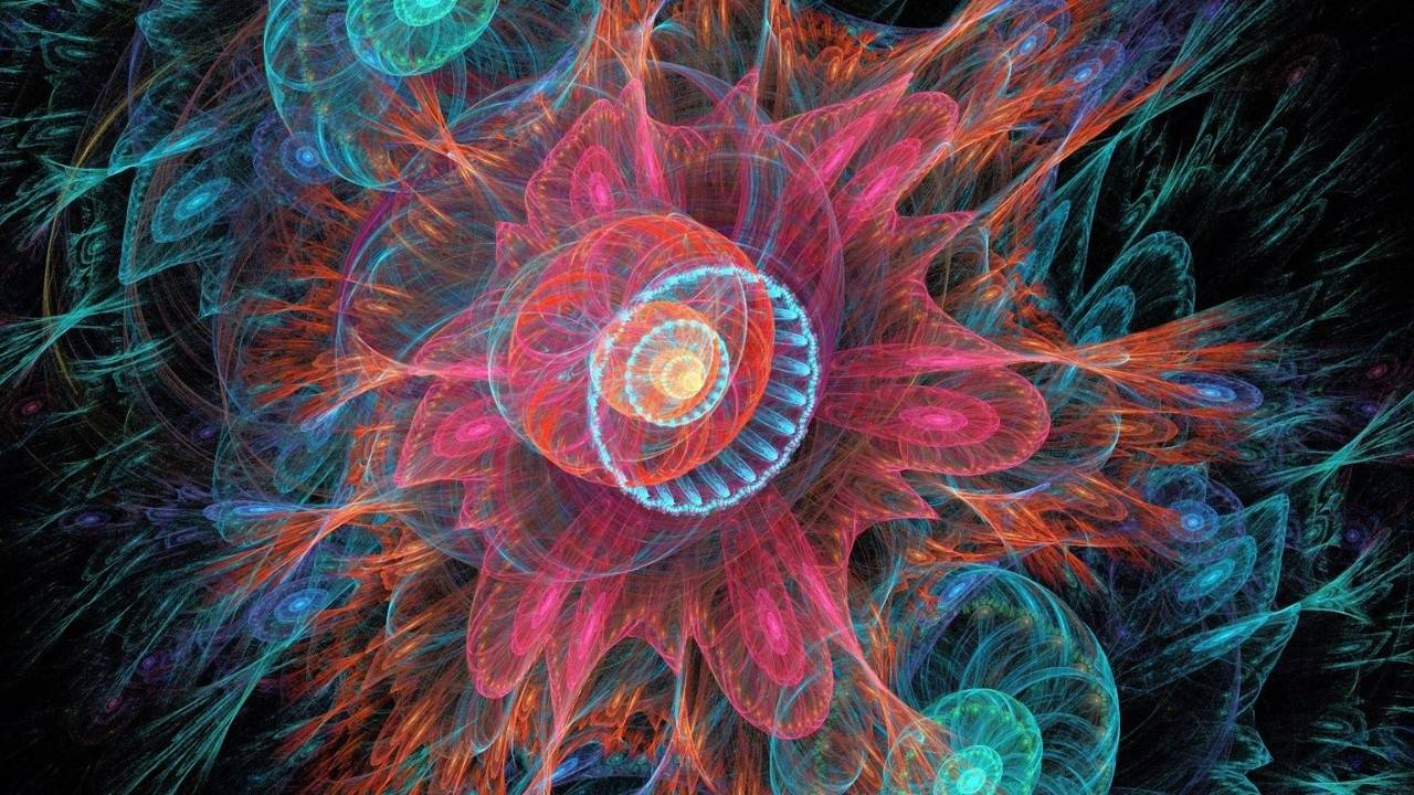 What are Psychedelics?