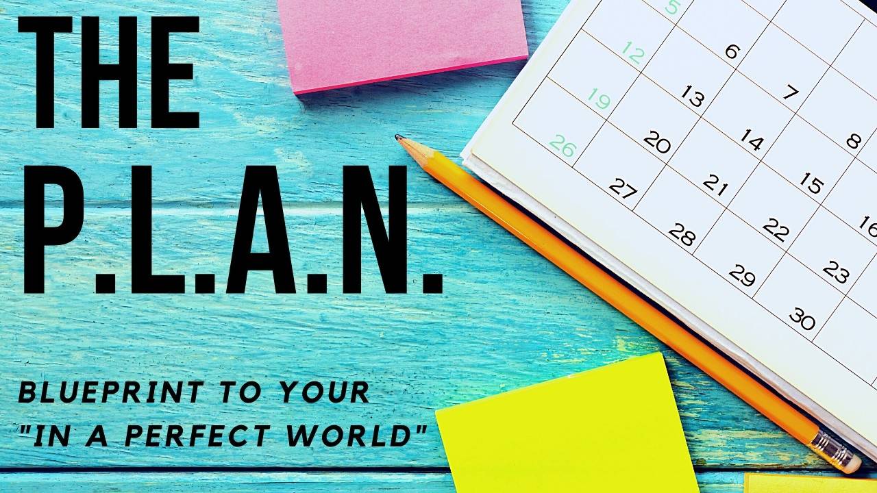 The P.L.A.N Blue Print to your "In a Perfect World"