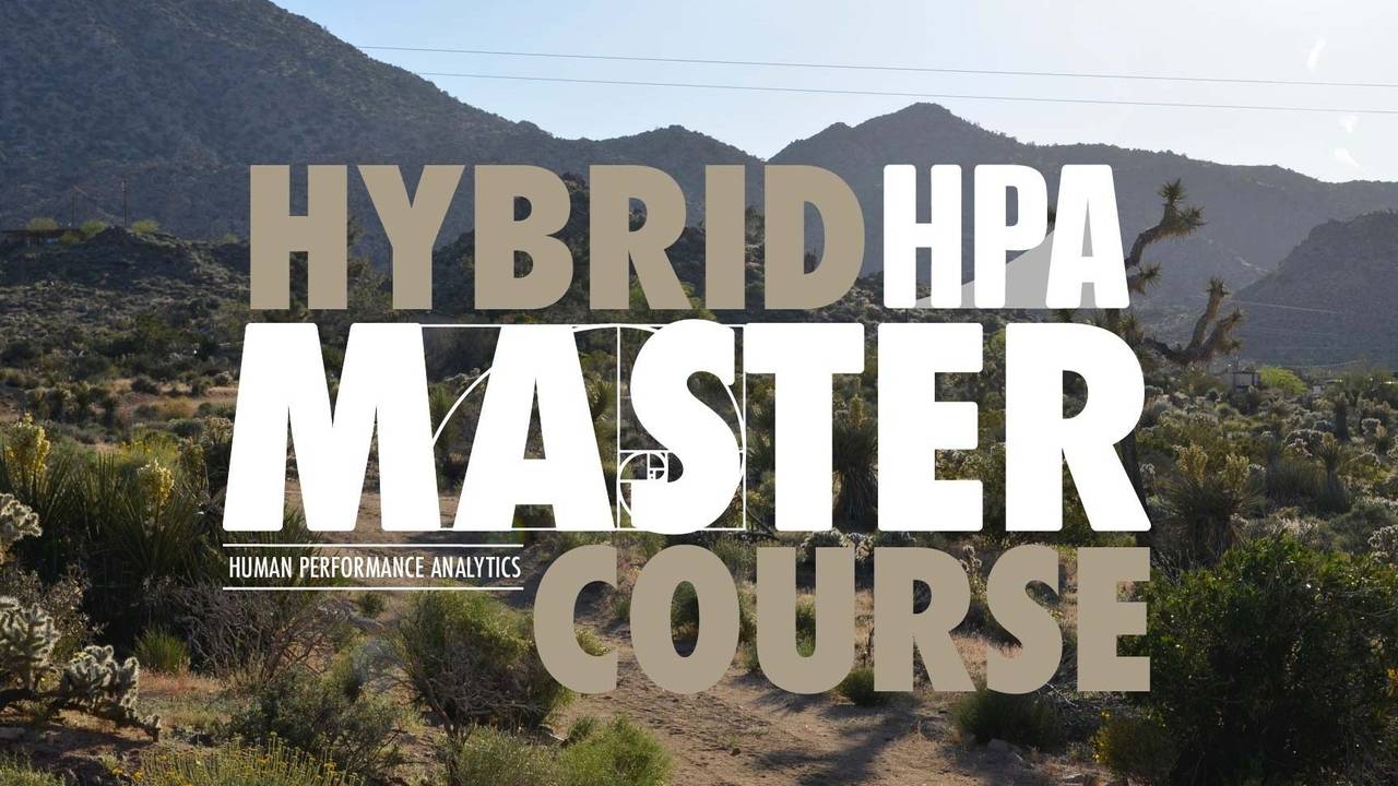 Hybrid Master Course