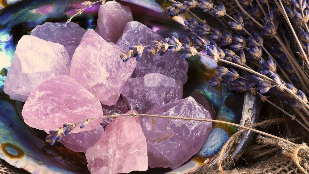 Alternative Medicine Courses Alternative Medicine Courses