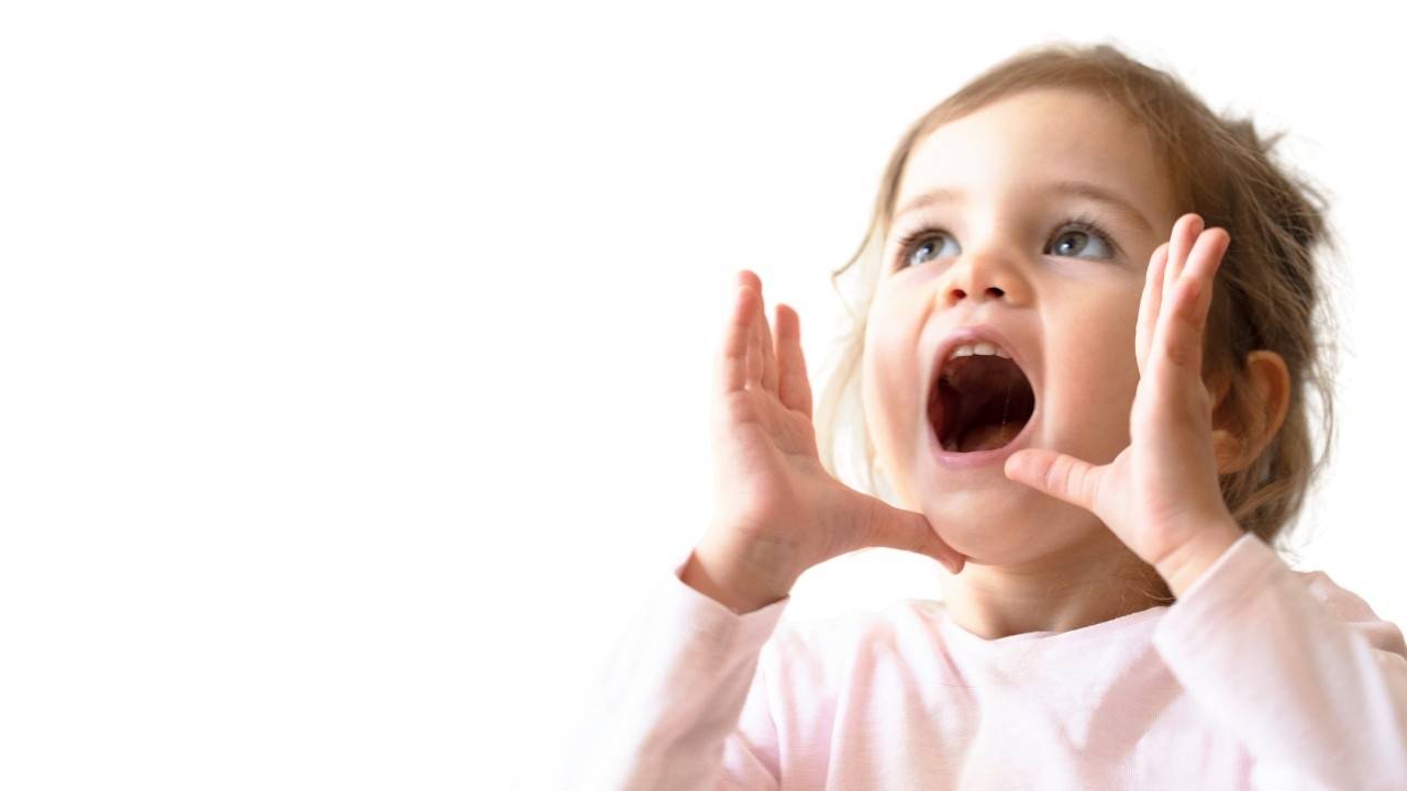 Why do toddlers ask a lot of questions.