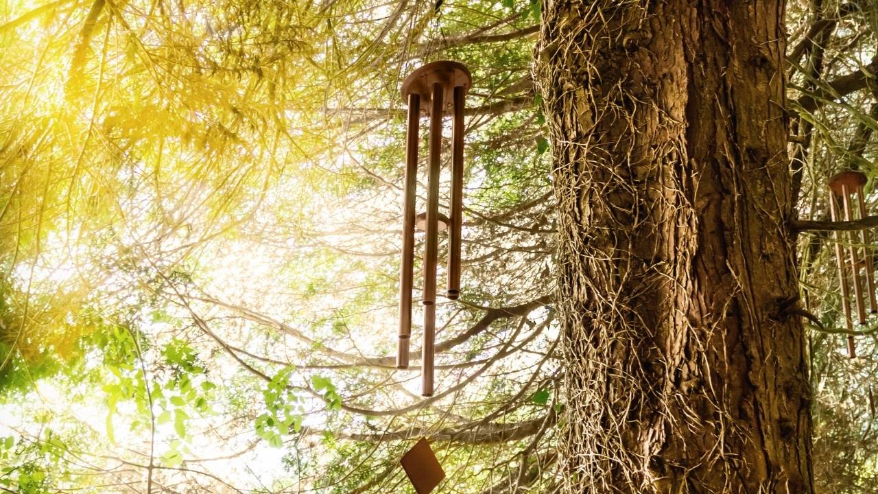 Guided Meditation - Earth Prayers, Healing the Form
