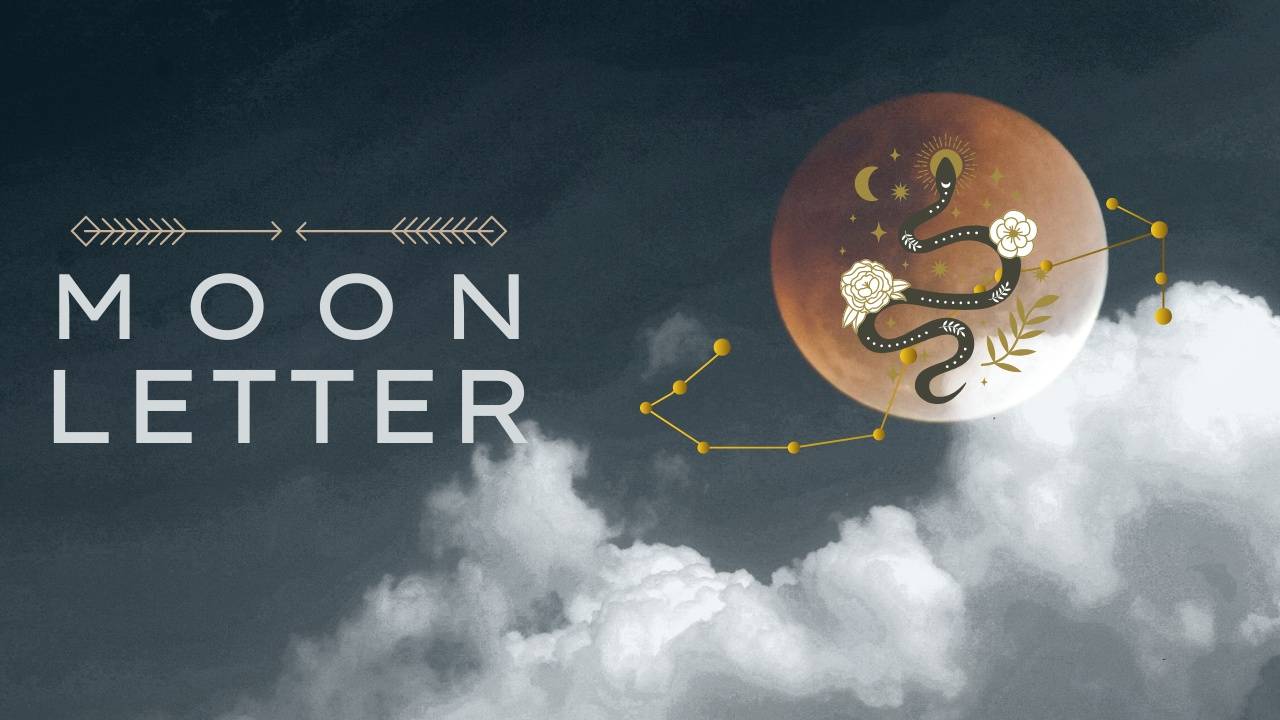 MOON Letter | New Moon Scoprio ECLIPSE