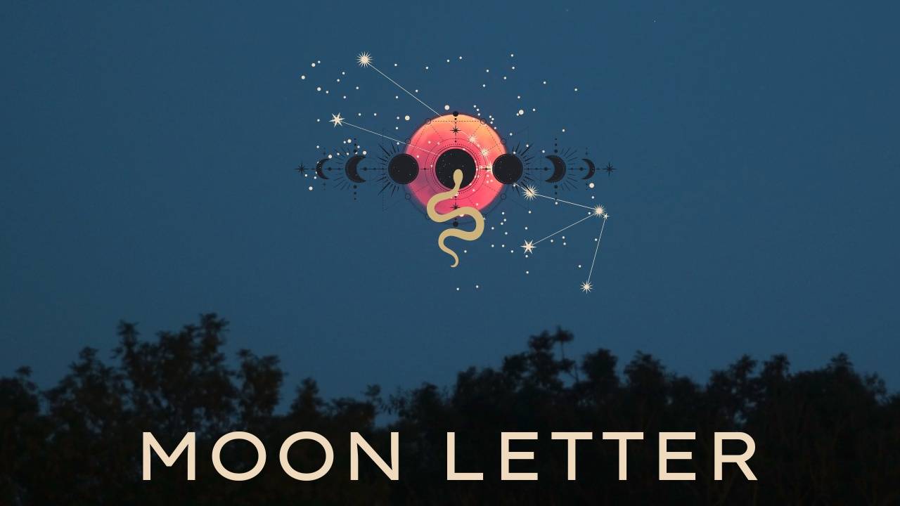 MOON Letter | Taurus Lunar Eclipse: love is pure and uncompromising