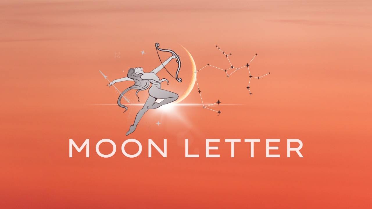 MOON Letter | New Moon in Sagittarius: ↠ No risk, no reward