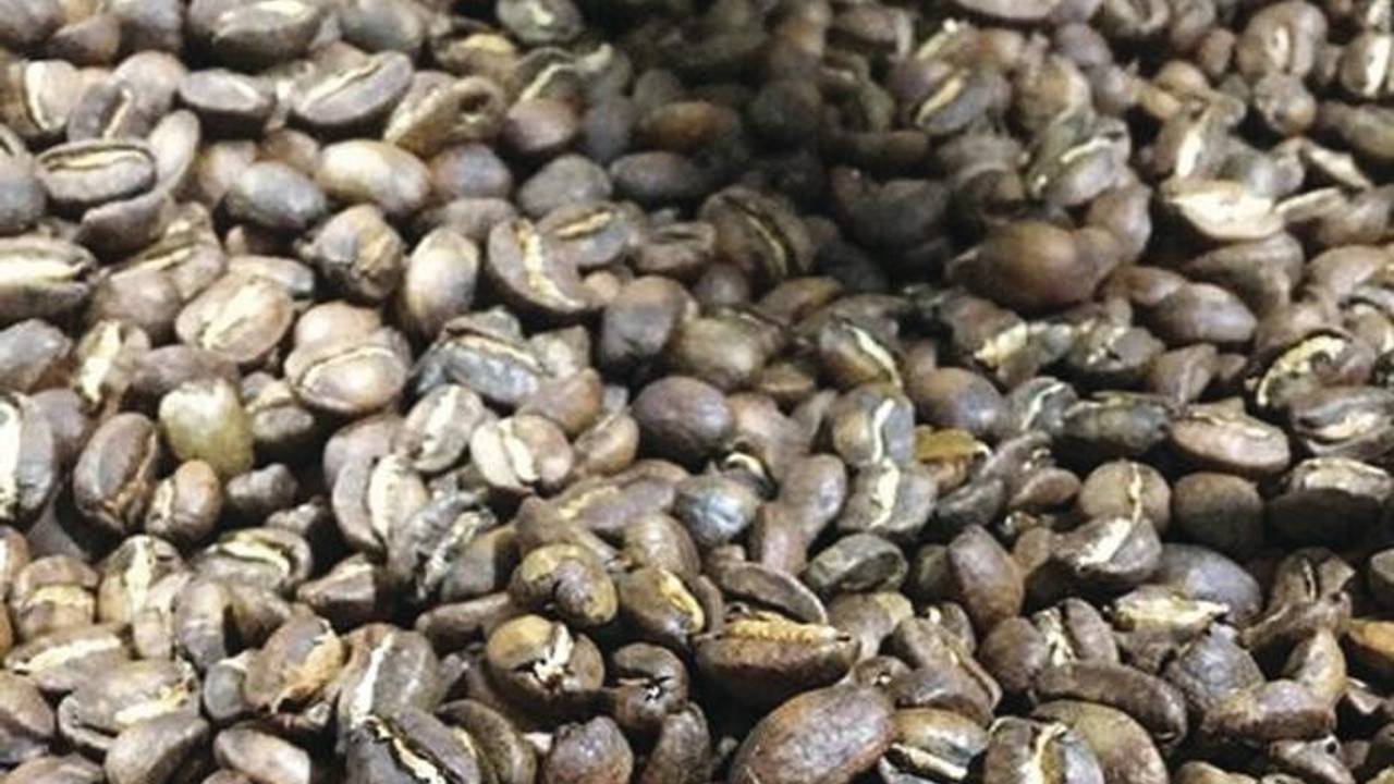 Café Geisha de Panamá