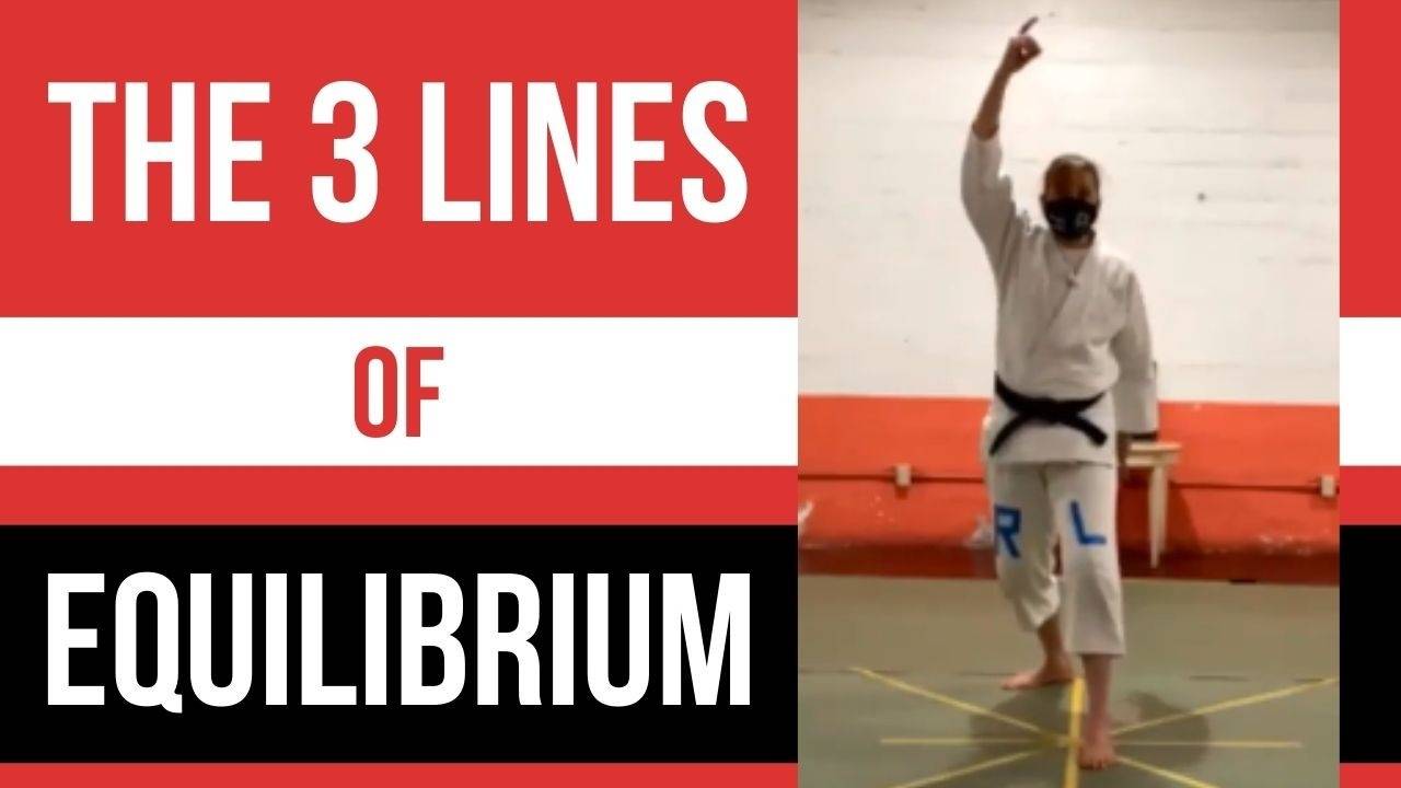 Aikido: The 3 Lines of Equilibrium - Eliminate pain. Improve technique