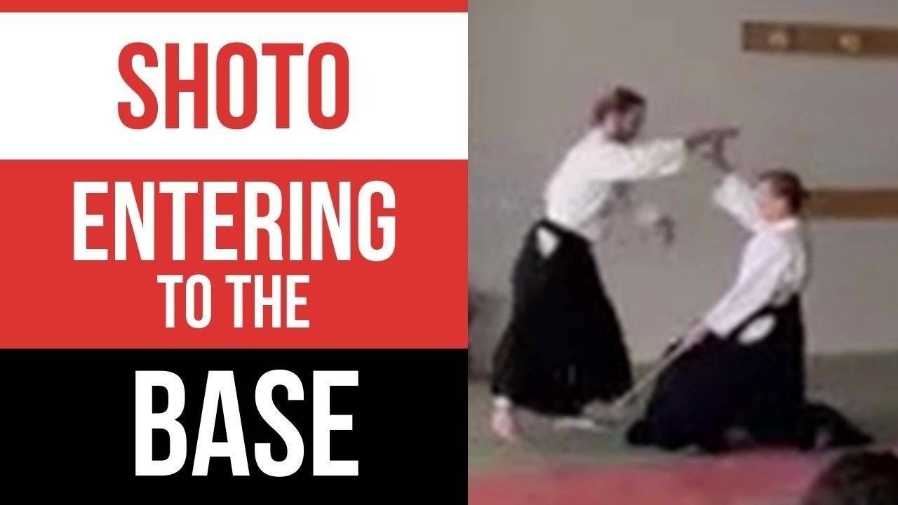 Aikido and Shoto: Keeping "The Big Picture" by entering low