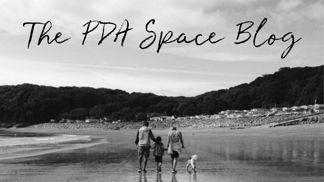 The PDA Space Blog