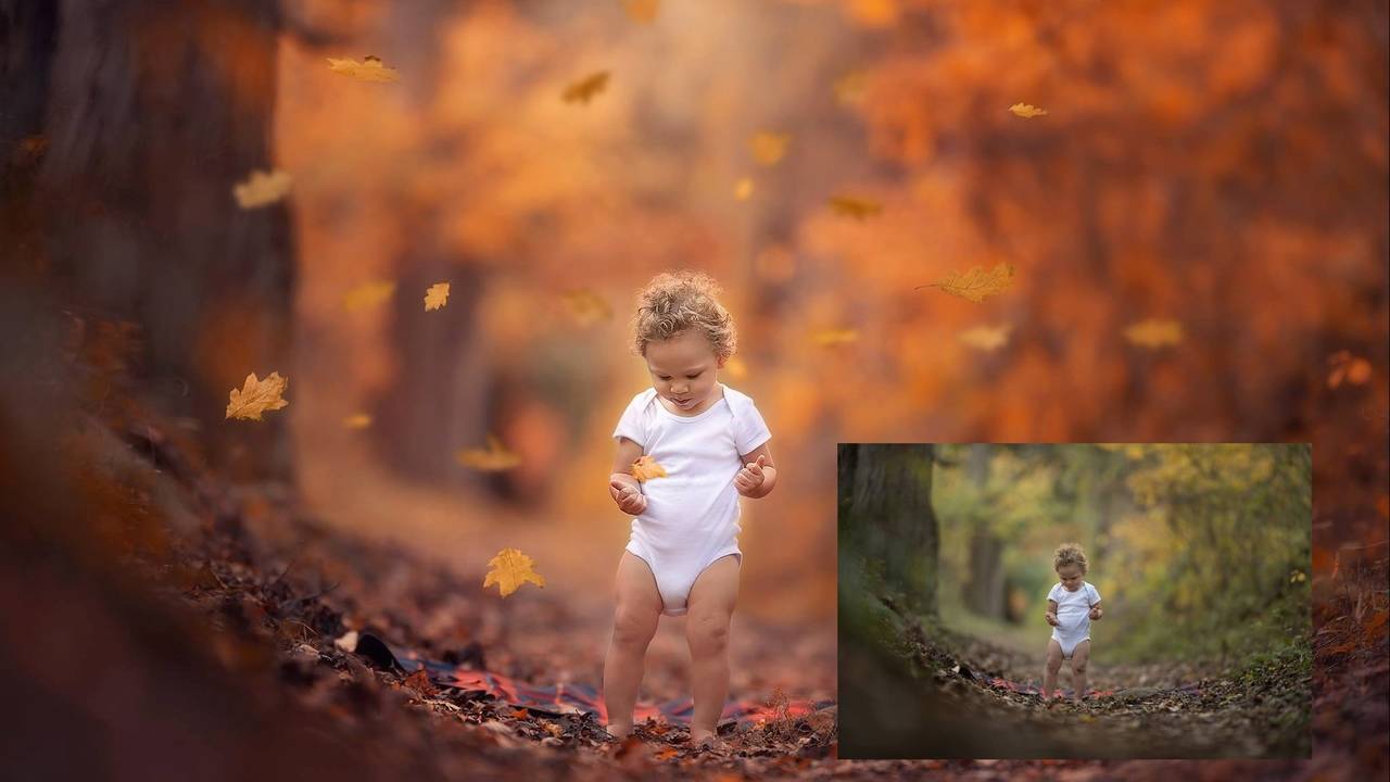 Colors of the Wind - Leaf Overlay and Photoshop Action Collection