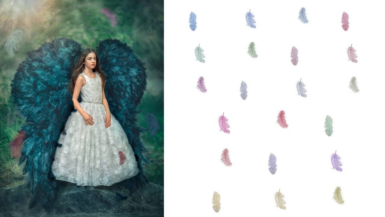 Feather Overlays for Photoshop