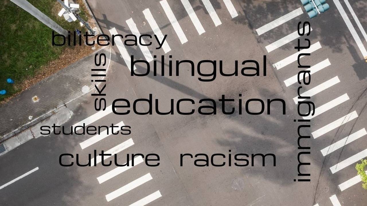 Where Education & Immigration Meet