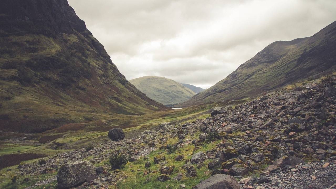 In the Valley Collecting Seeds