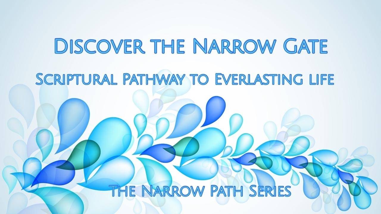 The Narrow Path Series details