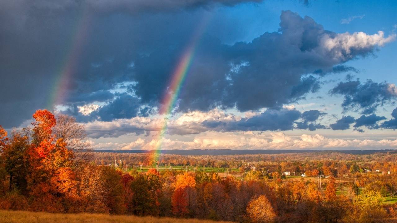 Living Beyond Limits