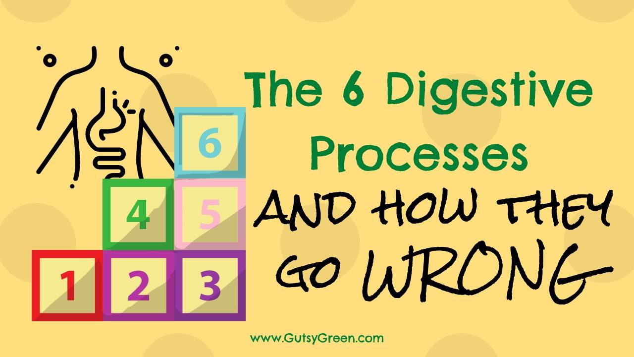 How digestion works in 6 steps - and how it often goes wrong