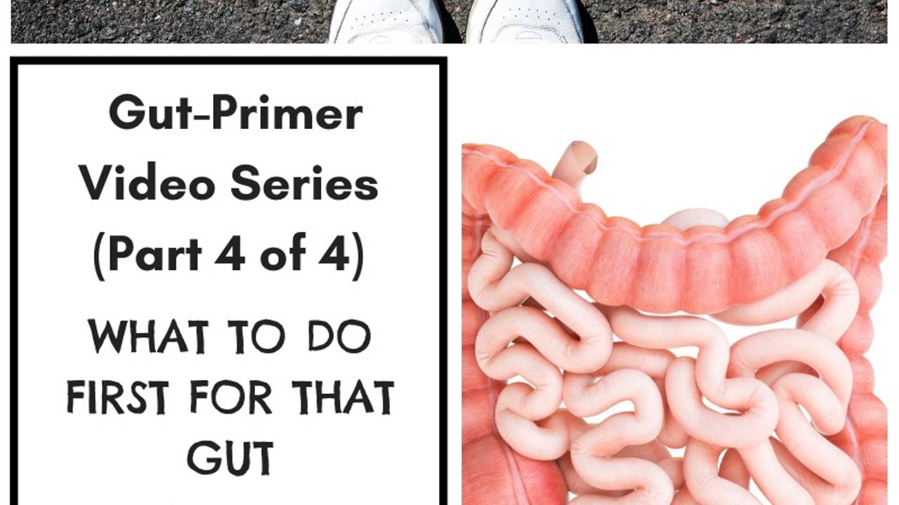(Part 4 of 4) "Gut Primer" Video Series: What to do first about that ...