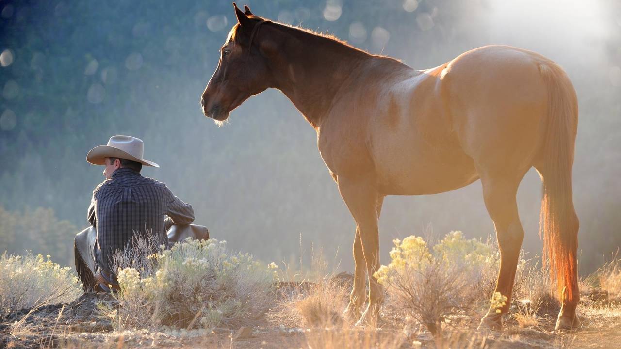 Contact | Jonathan Field