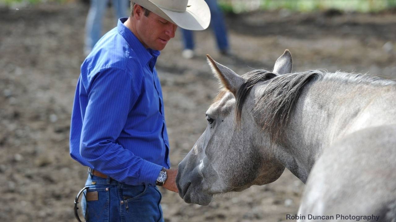 Tame is Not Always Safe. Why?