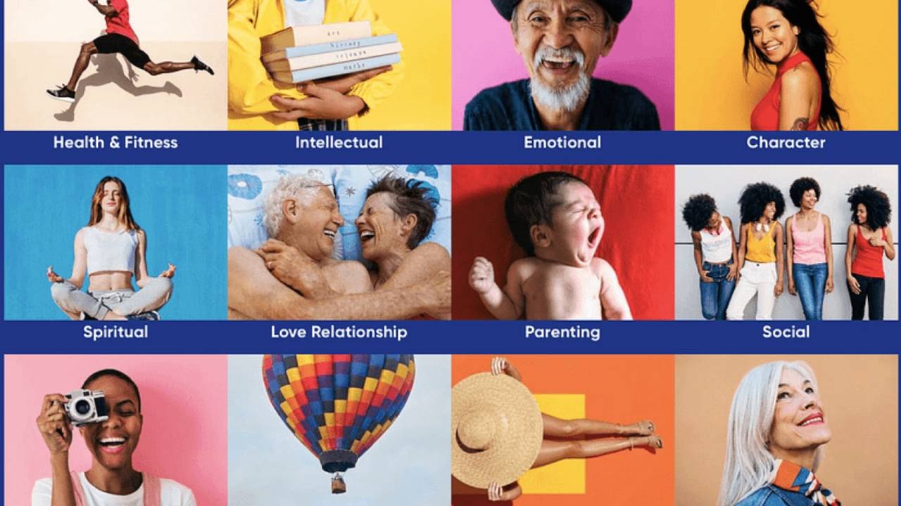 Your Life Categories