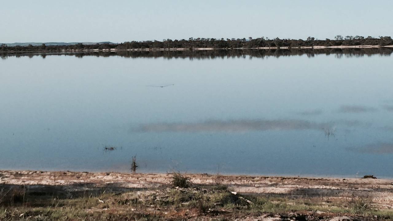 Rest is Not Idleness: the 2nd Seed of Hope