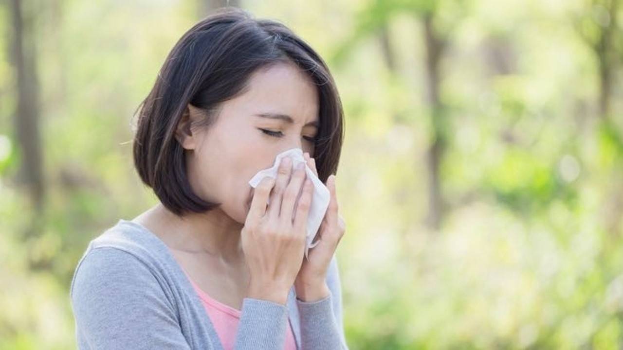 Allergies Explained