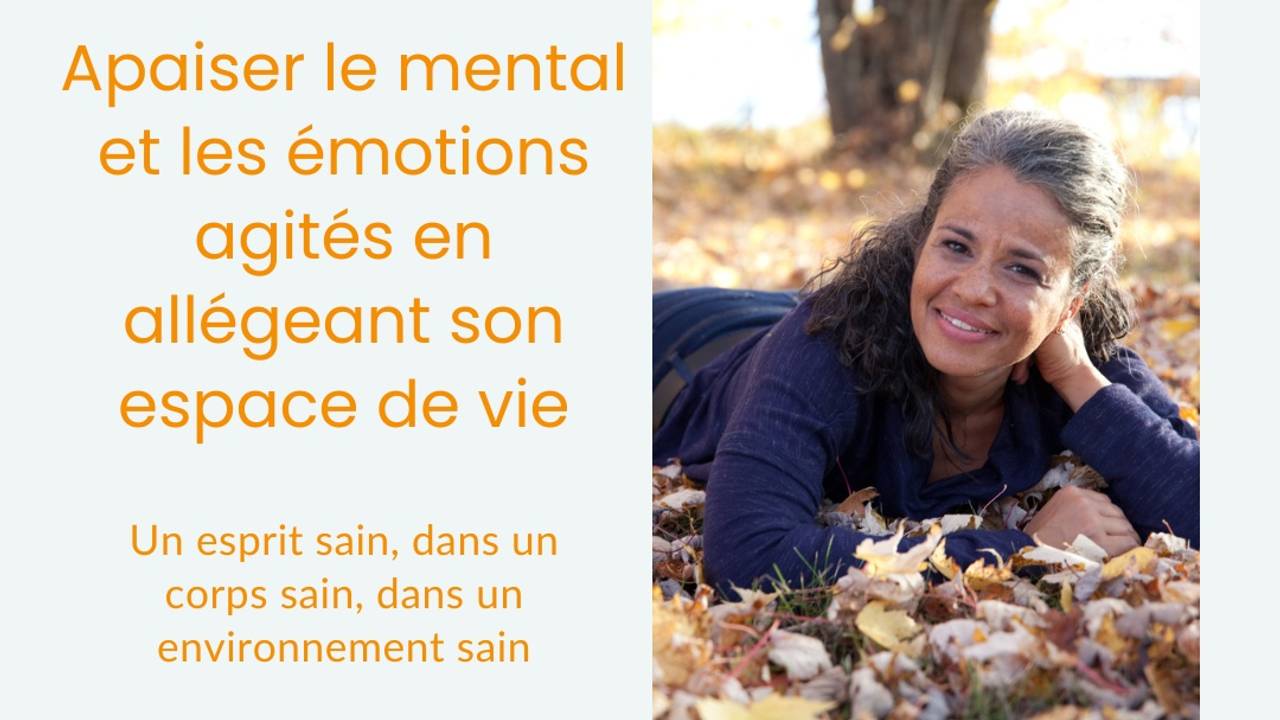 Apaiser le mental et les émotions agitées en allégeant son espace de vie