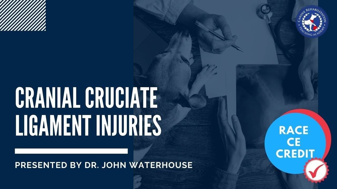 Cranial Cruciate Ligament Injuries
