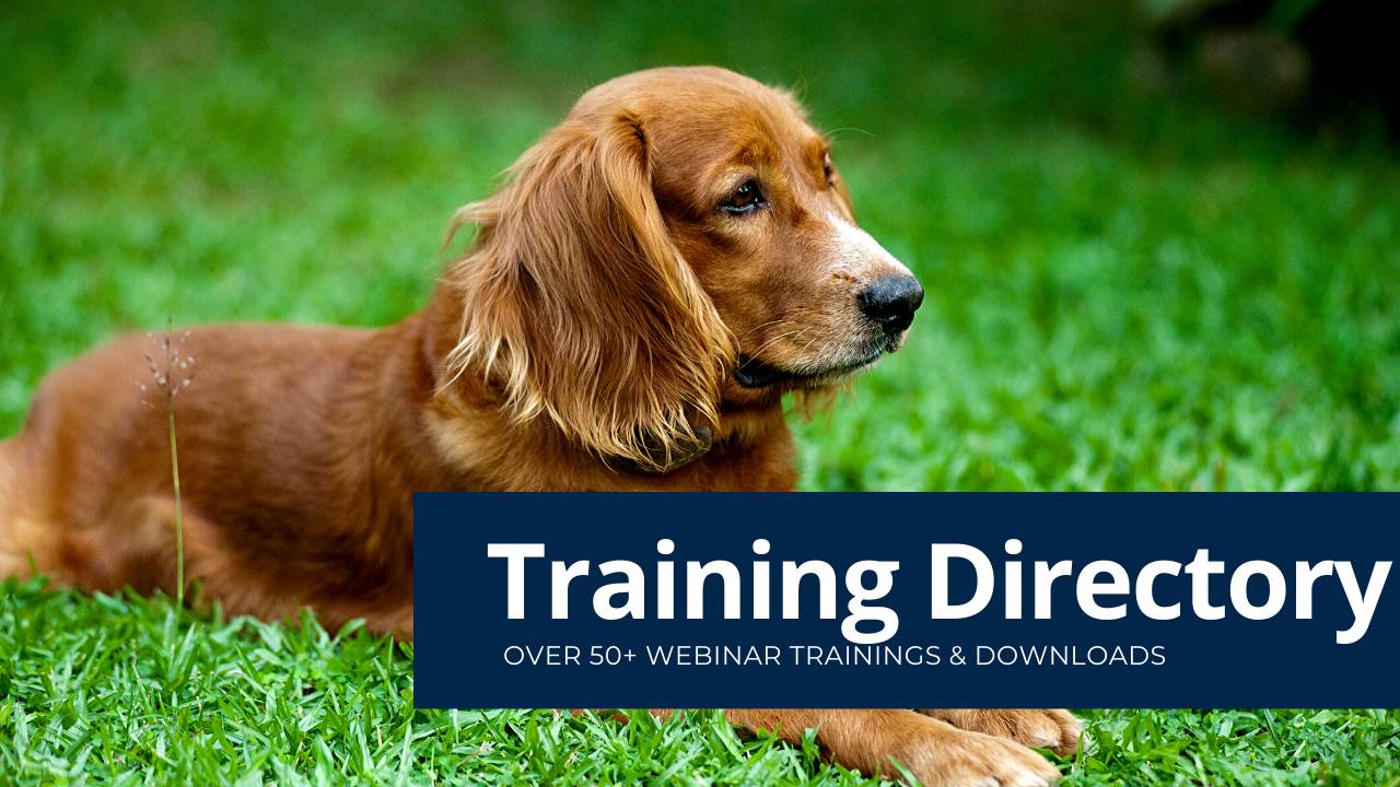 TRAINING DIRECTORY