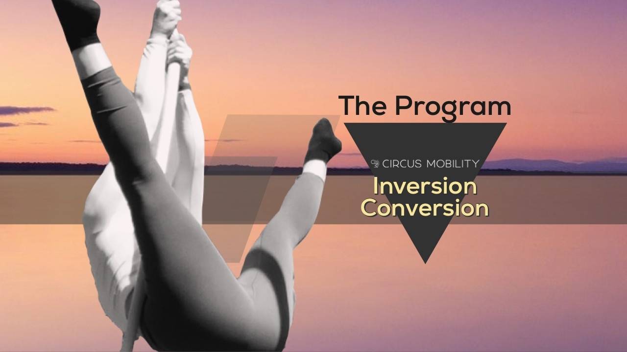 Inversion Conversion: The DIY Program