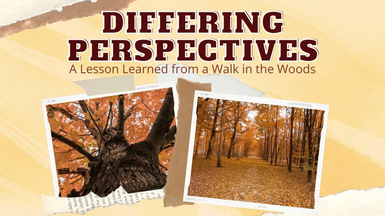 The Value of Differing Perspectives