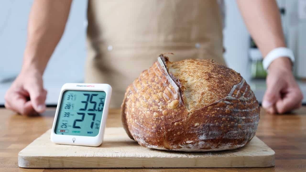 Avoid Failure: How to Bake Sourdough in Hot & Humid Climates