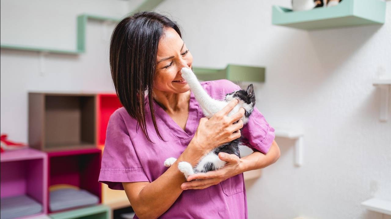 Compassion Fatigue Education for Animal Shelters and More!
